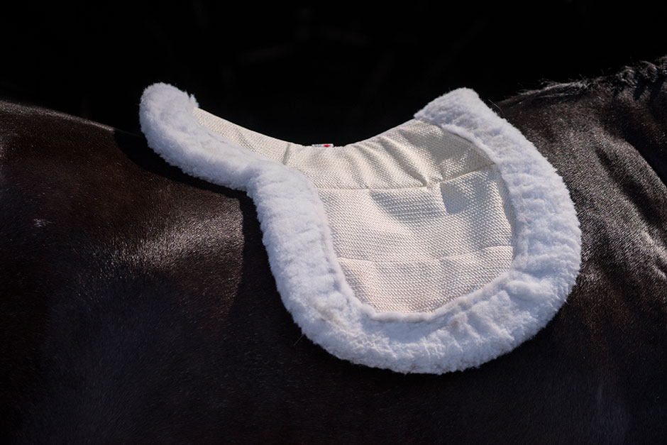 Review: EcoGold Stabilizer™ Hunter Pad | Paperchases & Petticoats